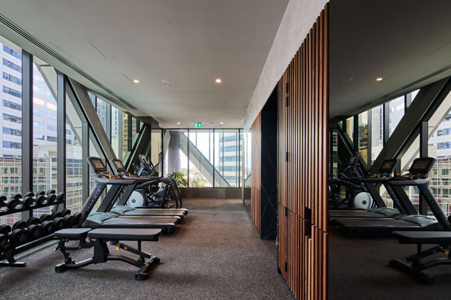 Paragon | Projects | Multiplex